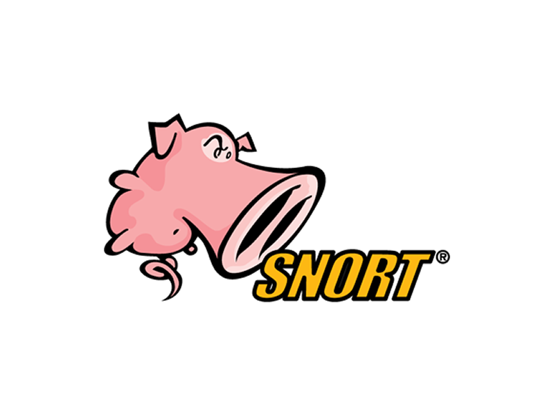 Snort è un sistema di prevenzione delle intrusioni